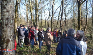 LISEA, gestionnaire de la LGV SEA